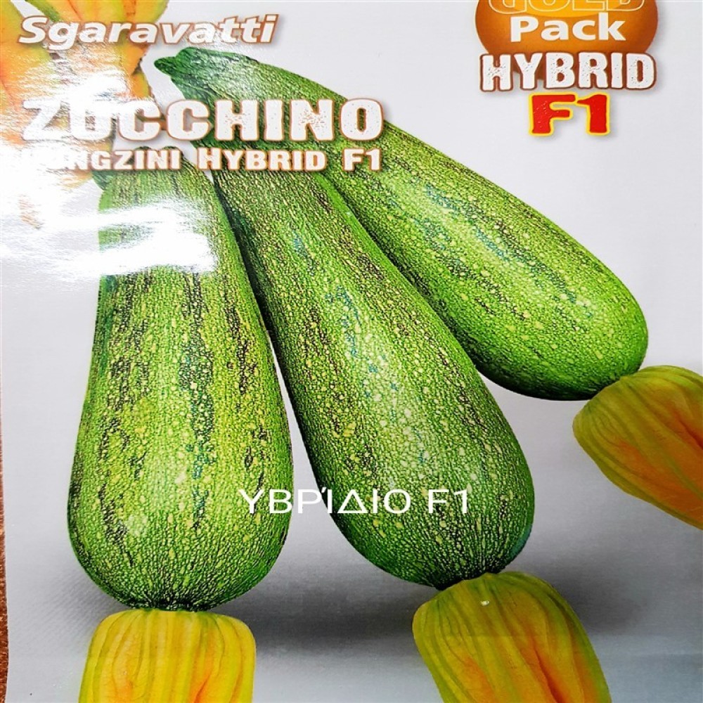 ΚΟΛΟΚΥΘΙ GRIZINI F1 ΥΒΡΙΔΙΟ|econgreen.gr
